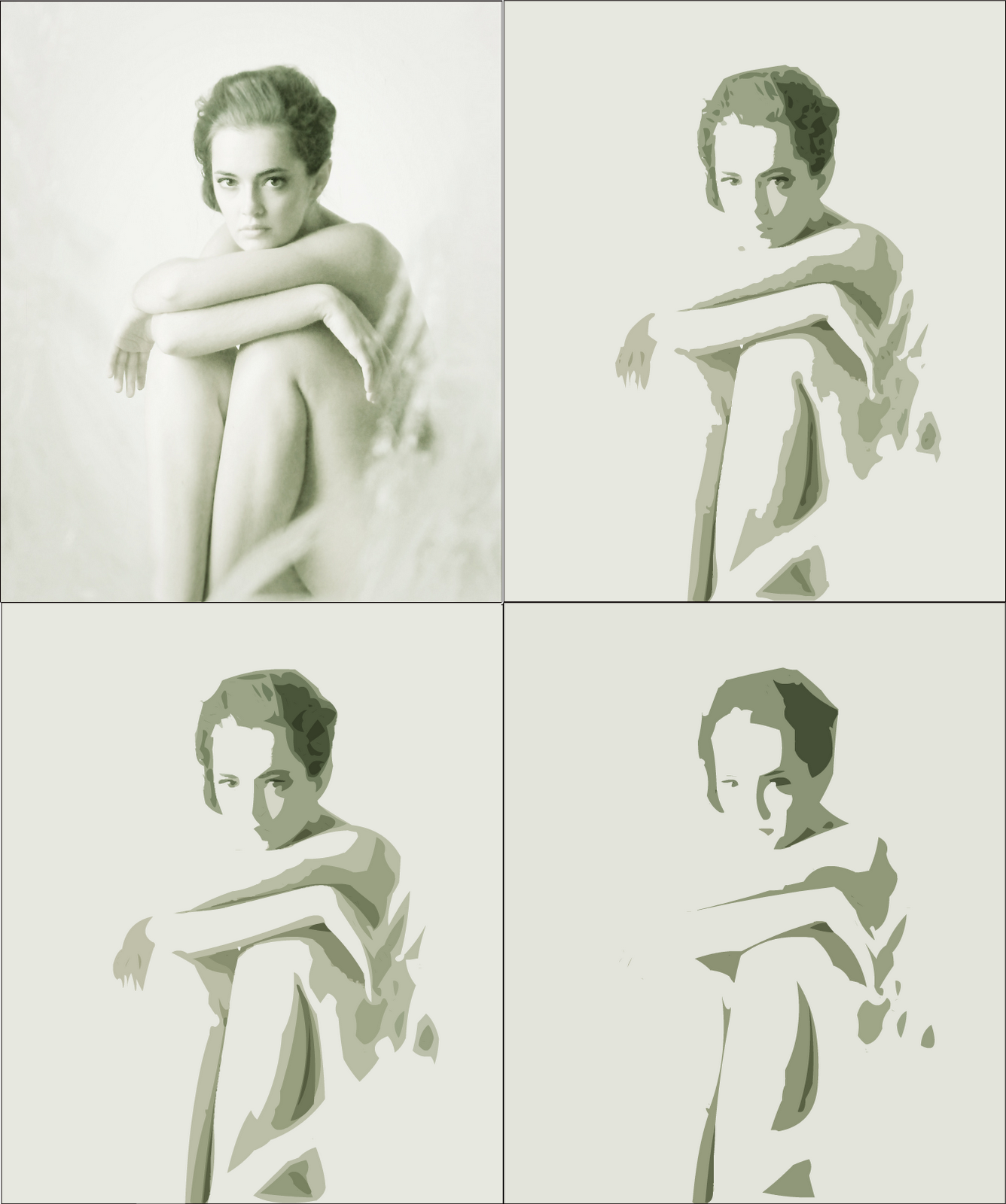 Projects in Computers: Flash: Trace Bitmap Function