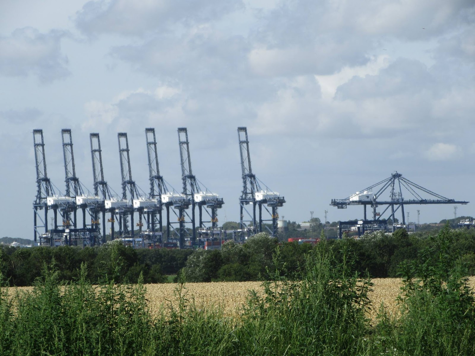Trinity terminal crane heightening programme Felixstowe