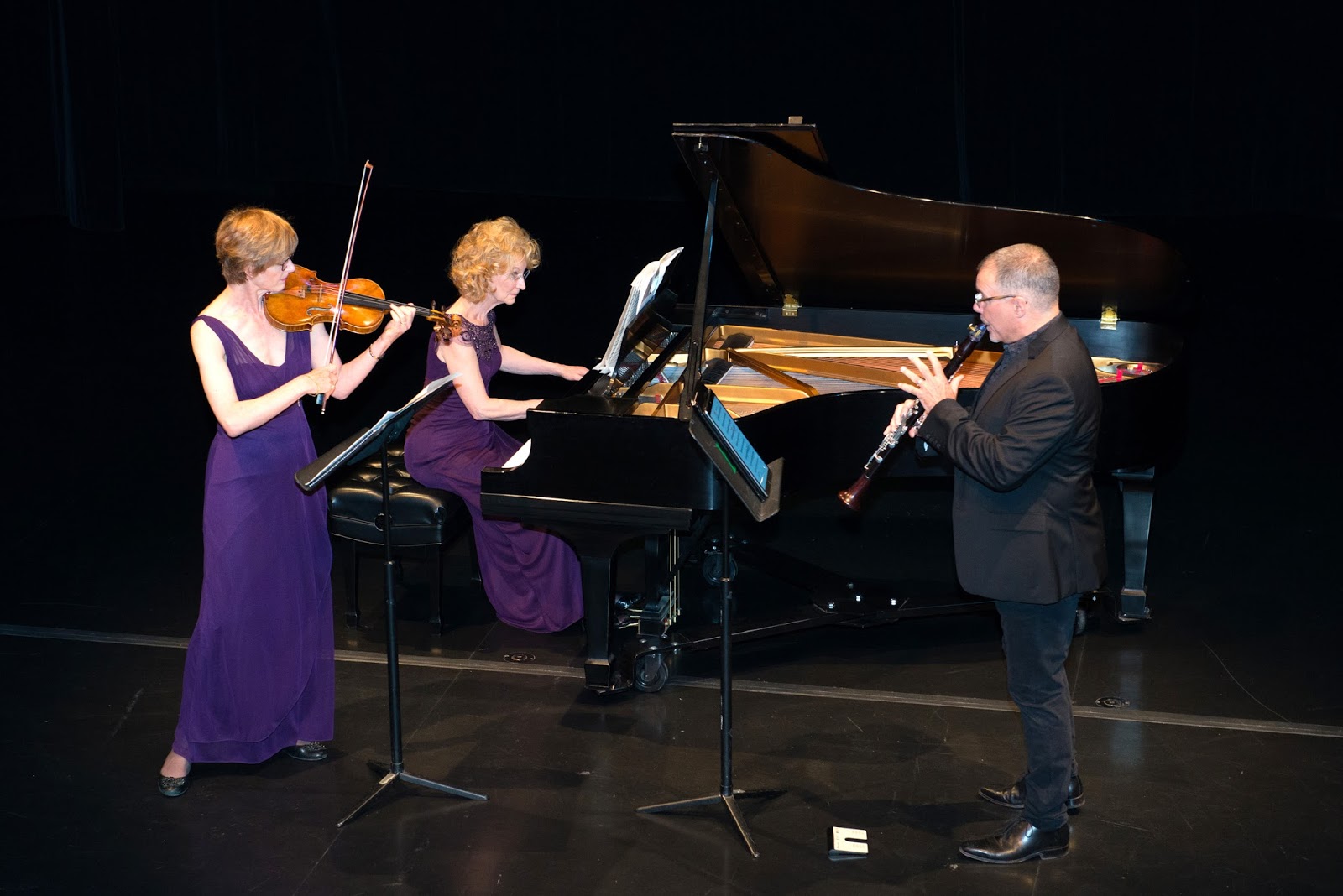 Maple Ridge Music Society: June 2016