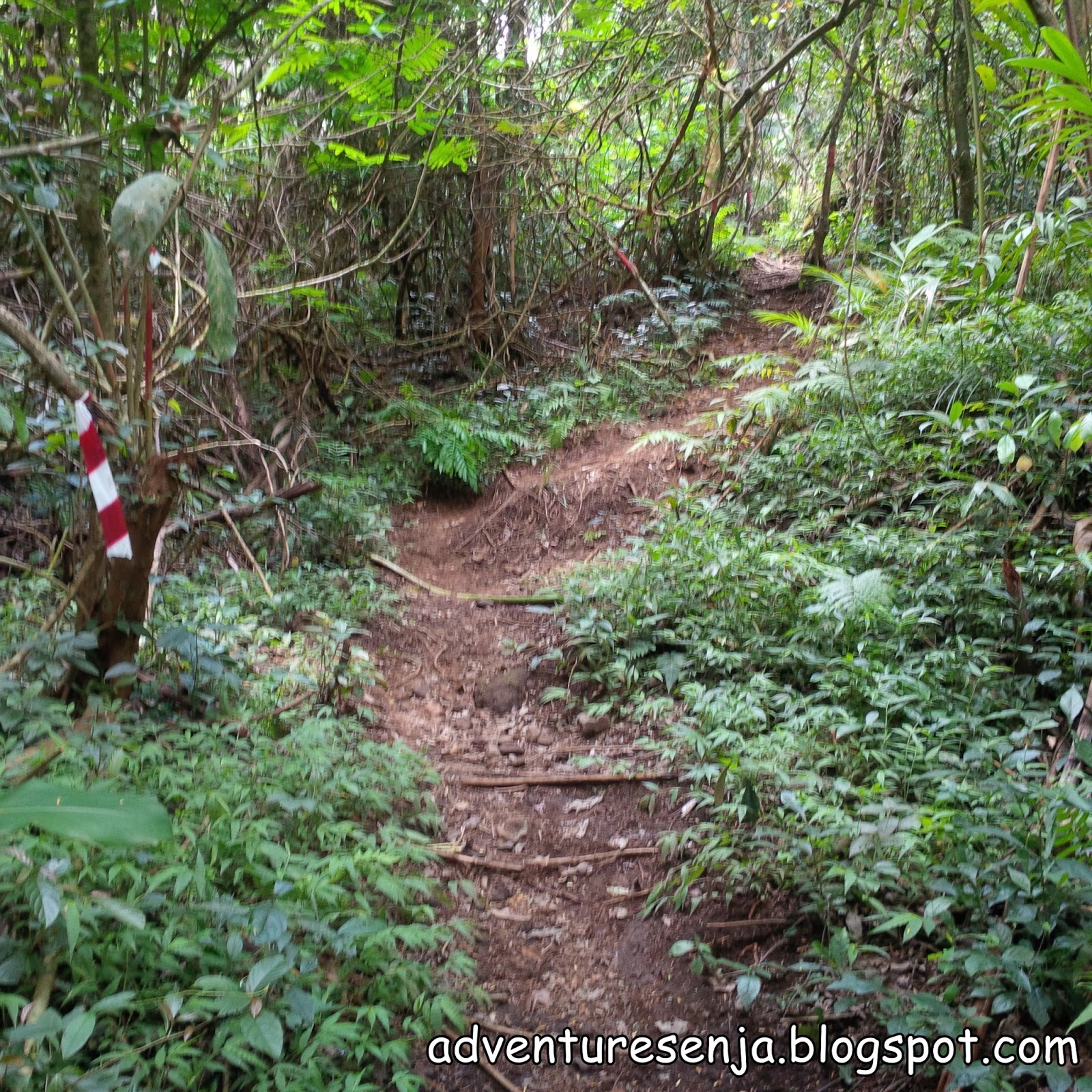 Pendakian Gunung Ciremai via Linggasana Baru (Tidak lewat Linggarjati ...