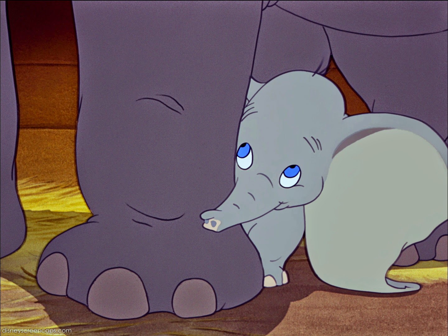 Give Simba's Pride more attention: Disney Dumbo