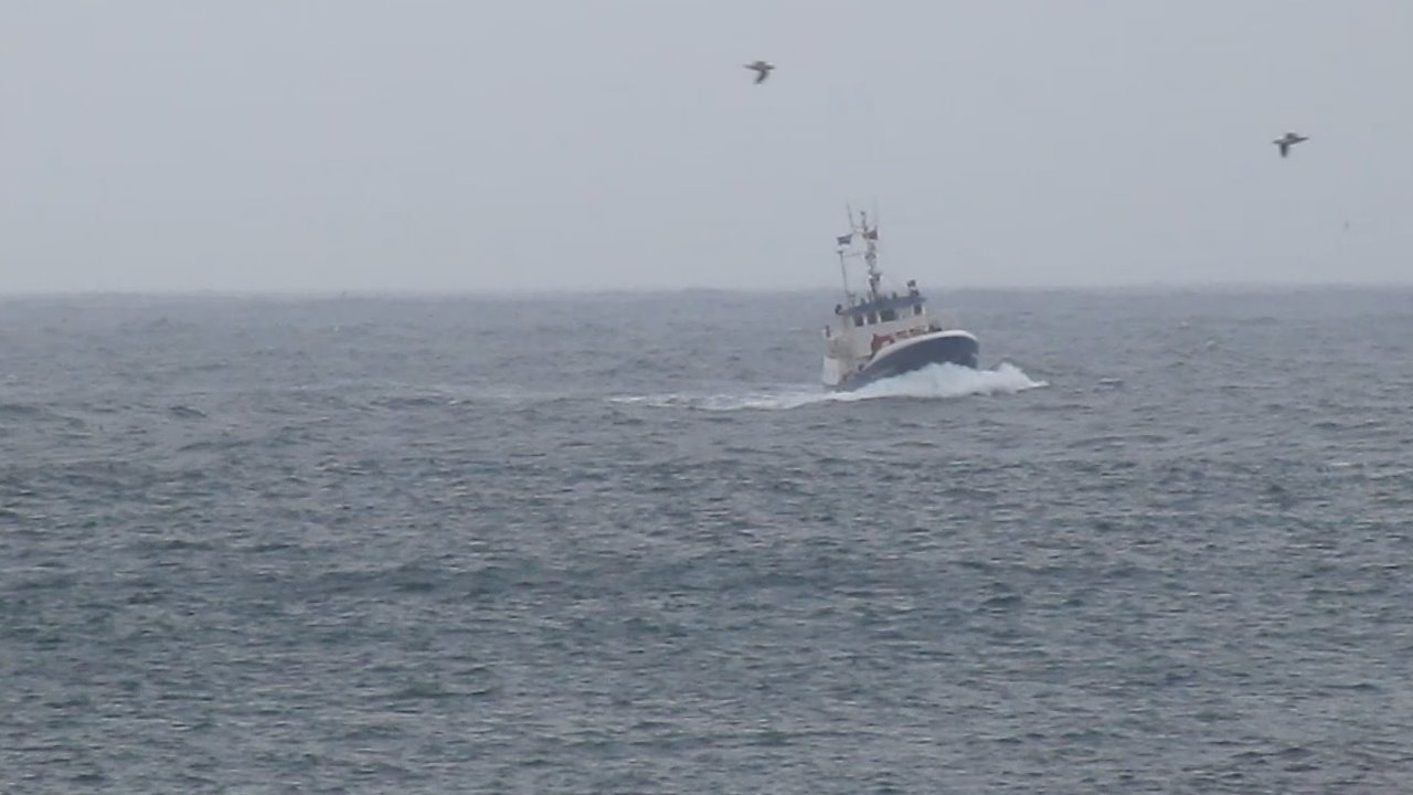 Fair Isle: March 2011