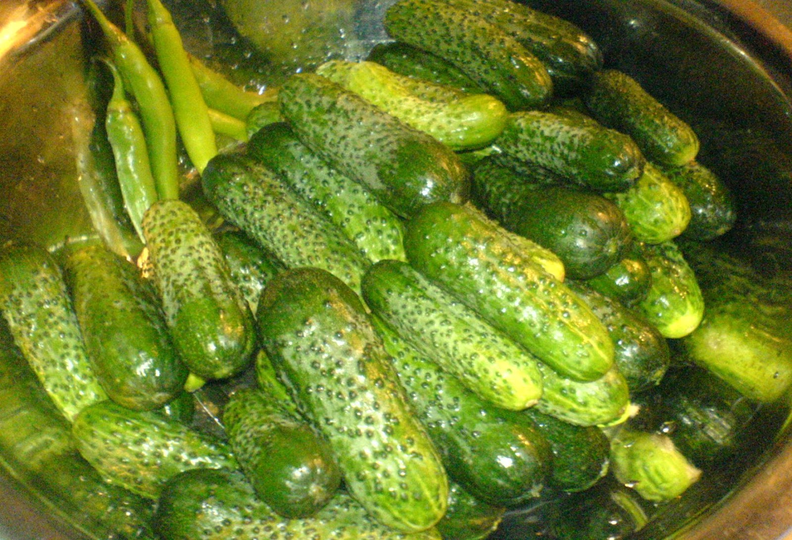 Castraveti murati de vara | Retete Culinare Preparatedevis.ro