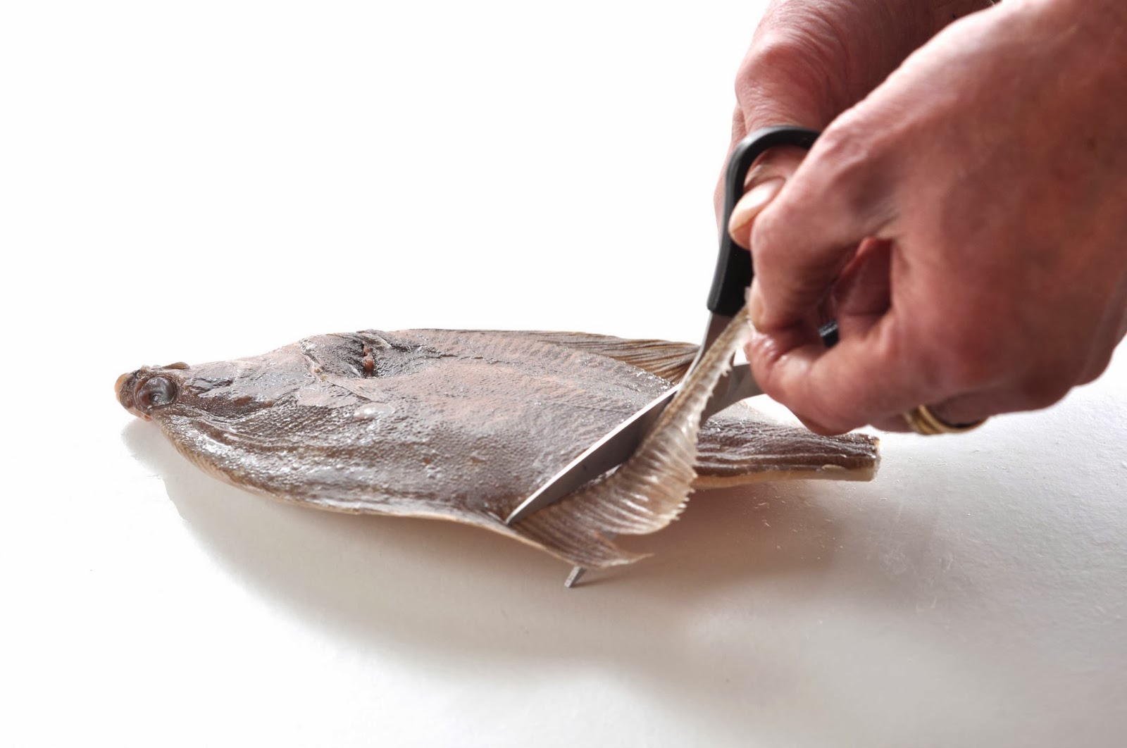Simple Food: Fillets of Plaice with Fennel and Lemon Parsley Butter