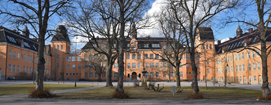Djursholms samskola