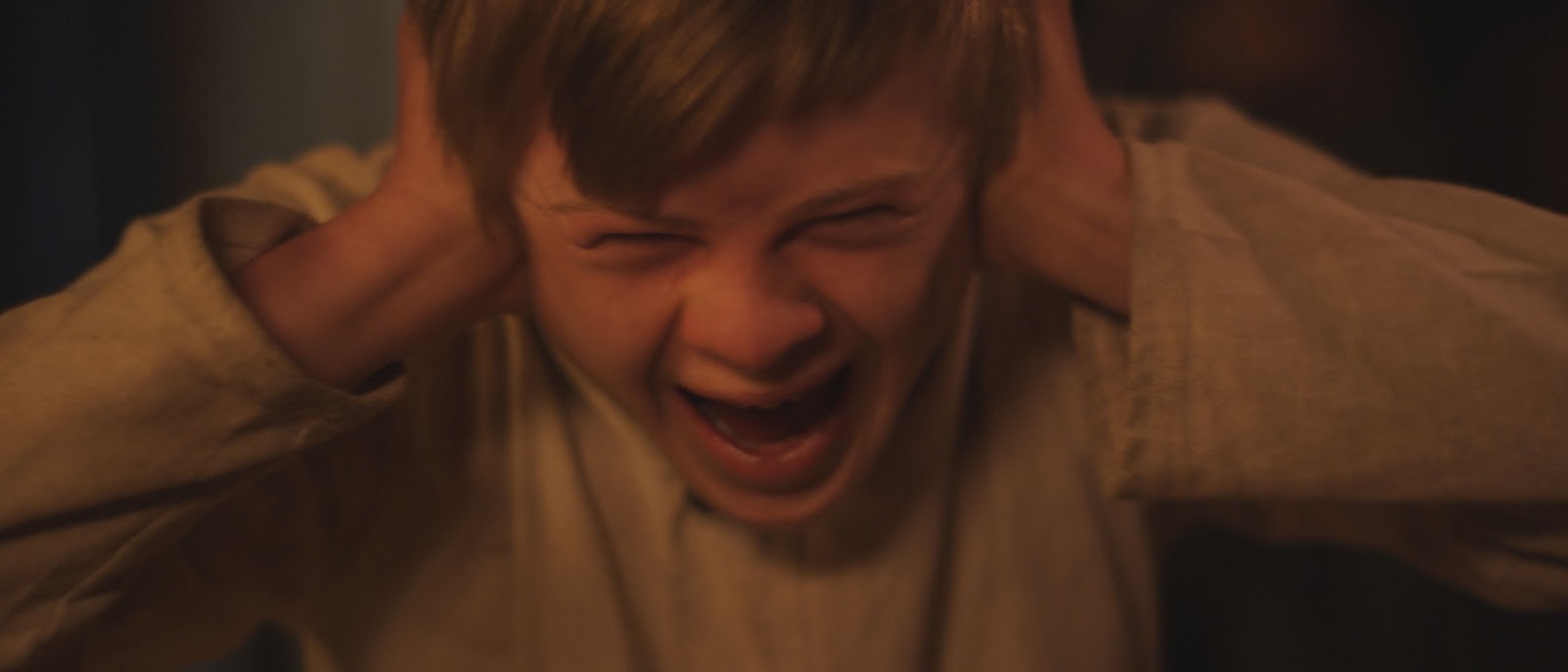 The Official Blog of Sarah R. Lotfi