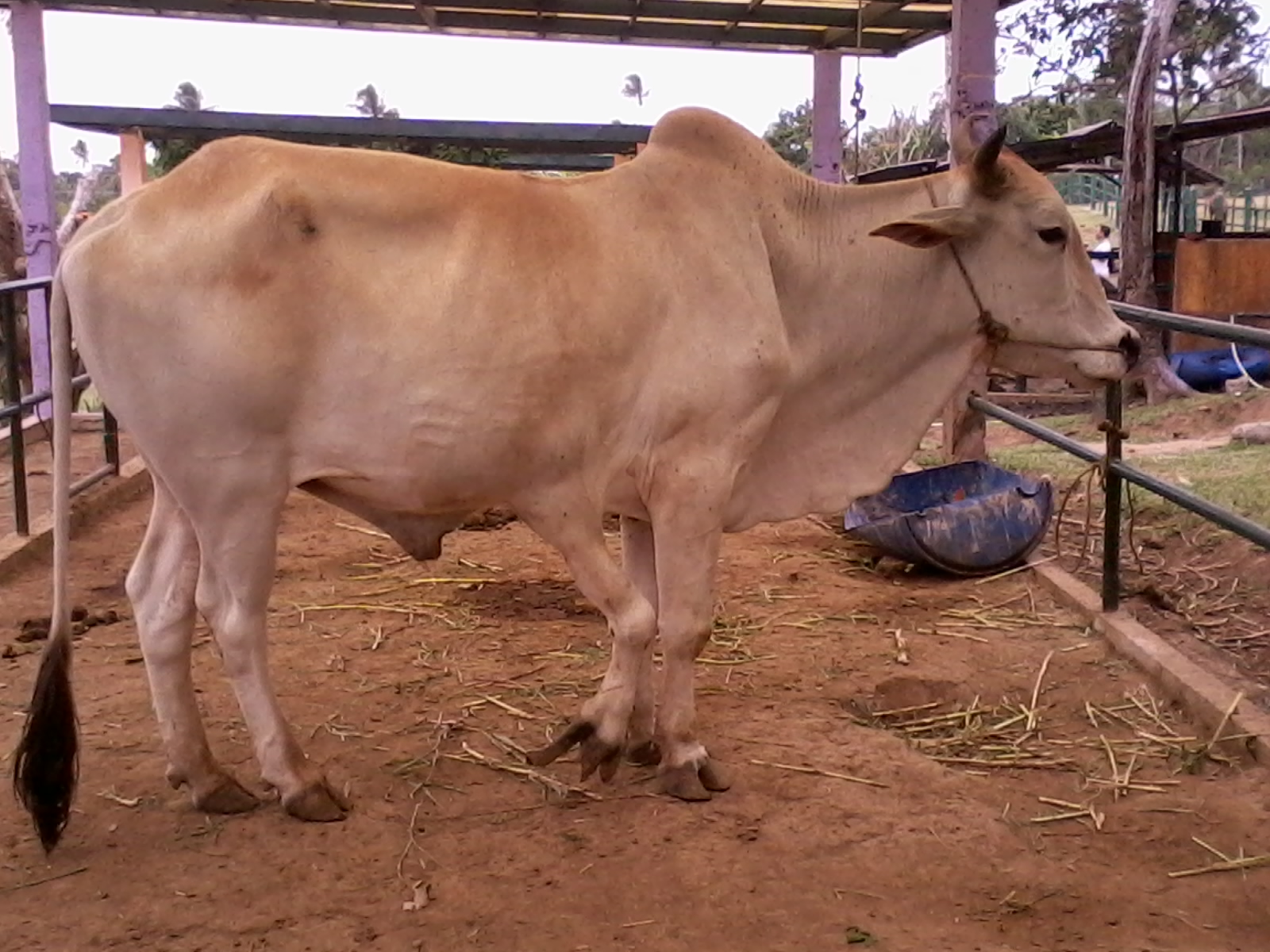 Soulful travels: ZOOMANITY’S PARADIZOO AND RESIDENCE INN: HAPPINESS ON ...