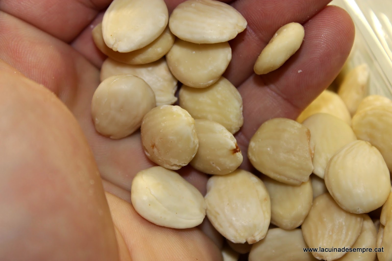 Menjar blanc, una de les postres més tradicionals i antigues de ...