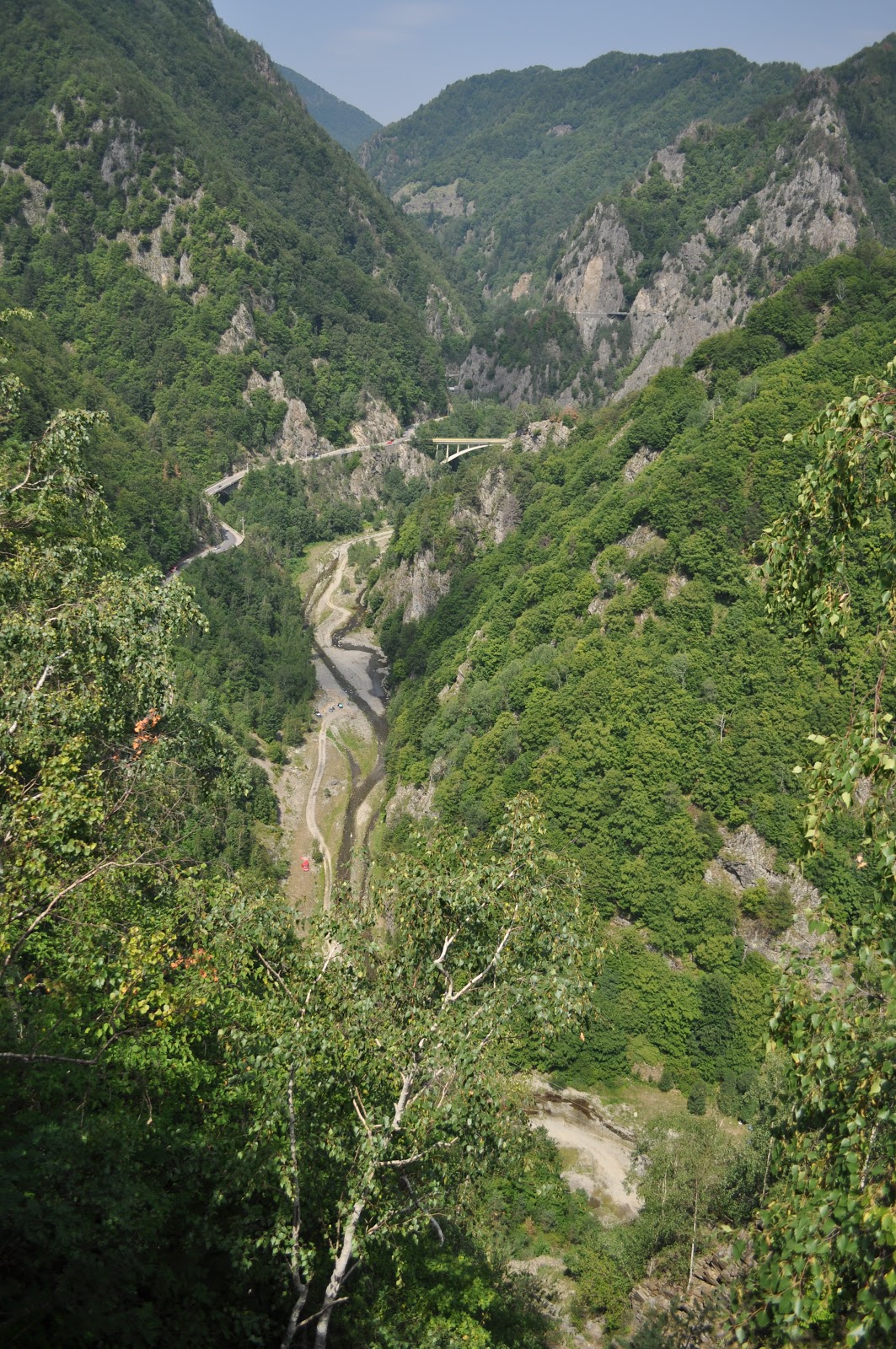 Poze, Natura, Animale, Plante, Romania, Valcea, Ionut Ungureanu