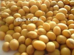 Pengujian Viabilitas Benih Tanaman Pangan dan Hortikultura pada ...