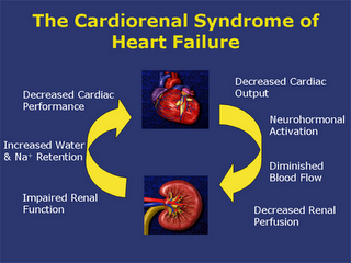 professional nursing practice: CARDIORENAL SYNDROME