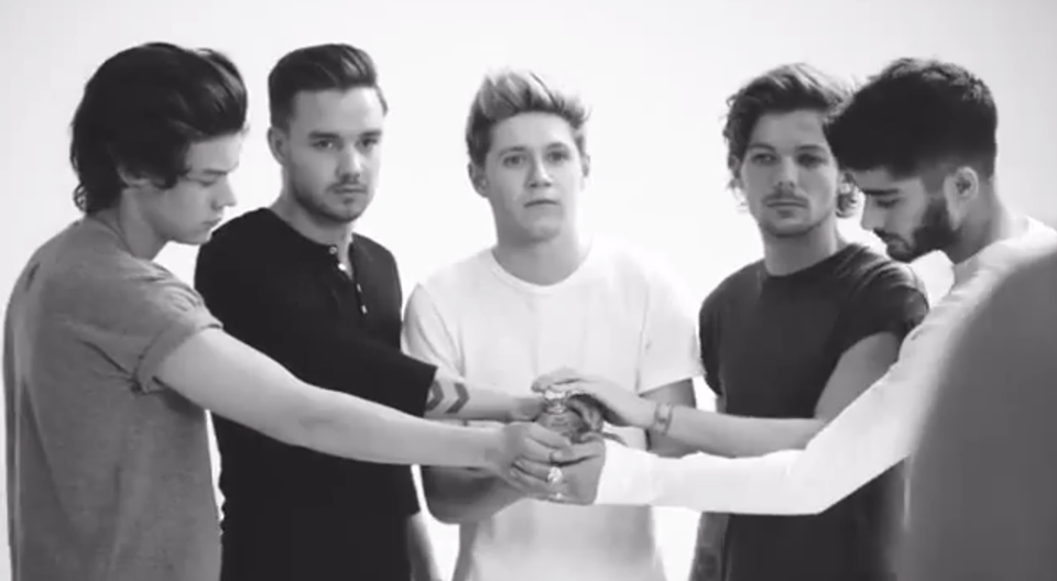 Directioners Brasil: Sessão de fotos That Moment