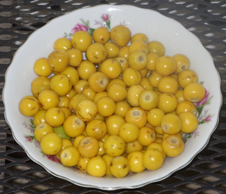 Laguna de Apoyo, Nicaragua: What we do, and why