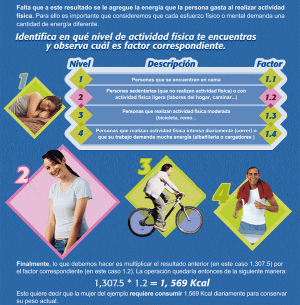 desarrollo fisico y salud : Y.....¿COMO SACO EL IMC Y EL GASTO CALORICO?