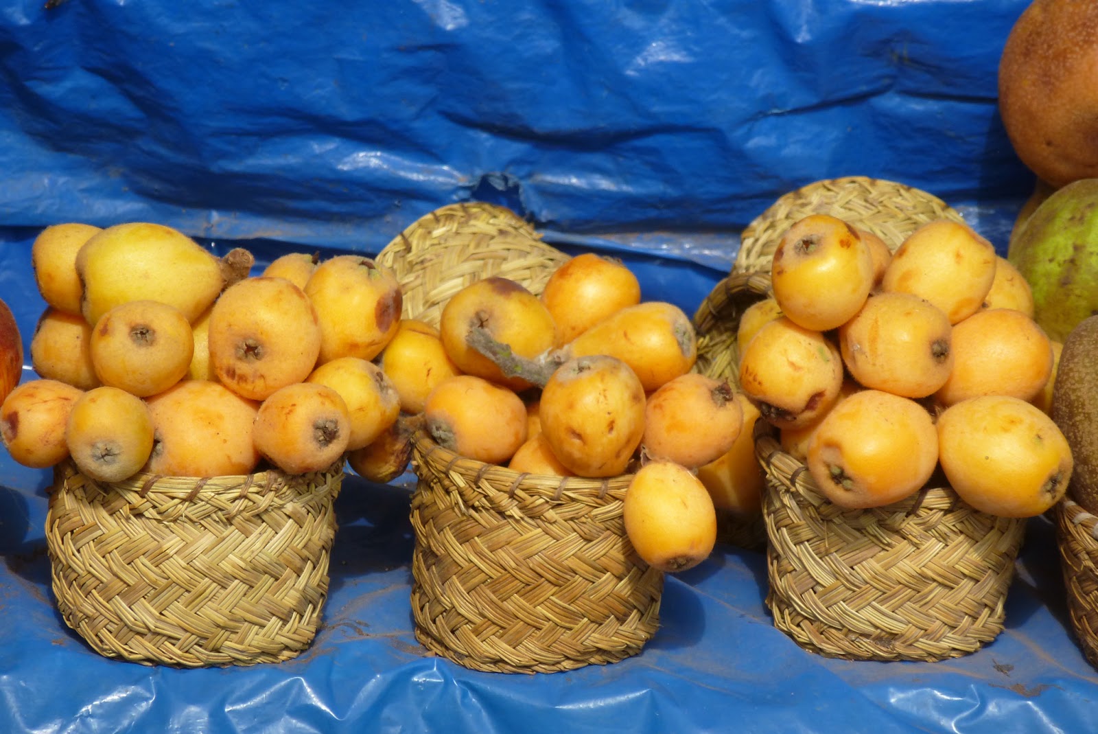 Séjour Madagascar 2013