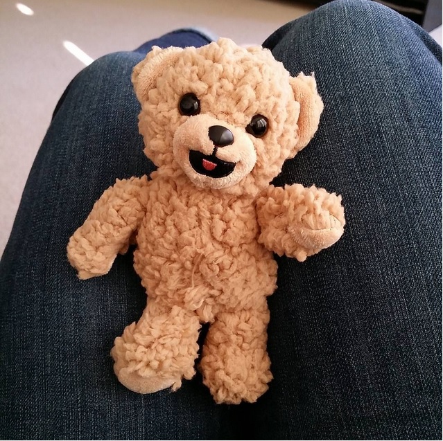 Temporary Waffle: Summer With Snuggle Bear from the Bear Den