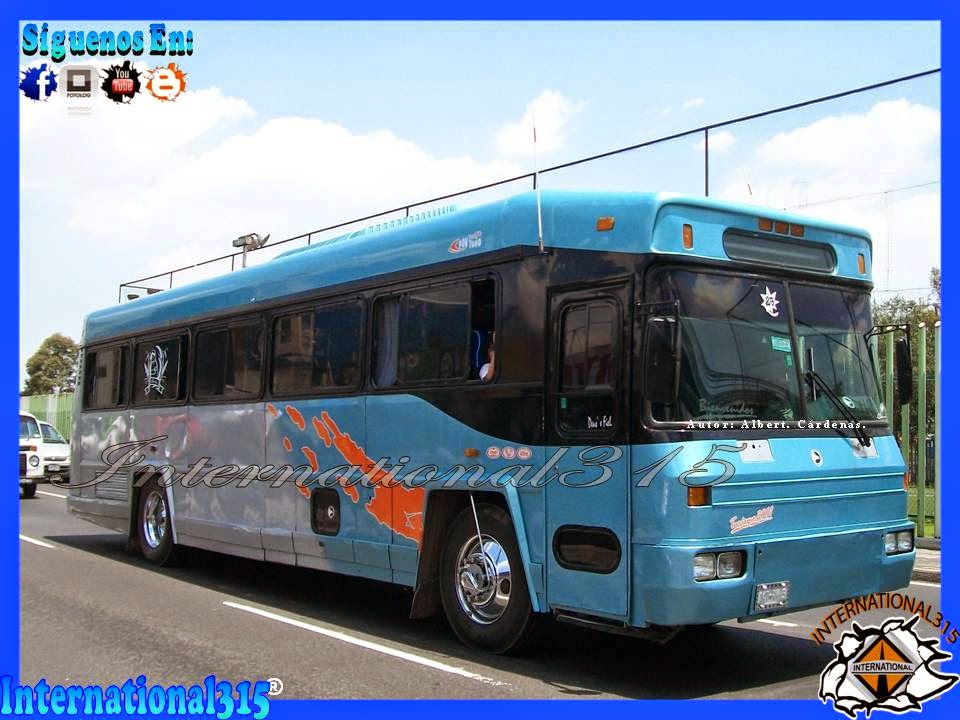 International315.: Autobuses.
