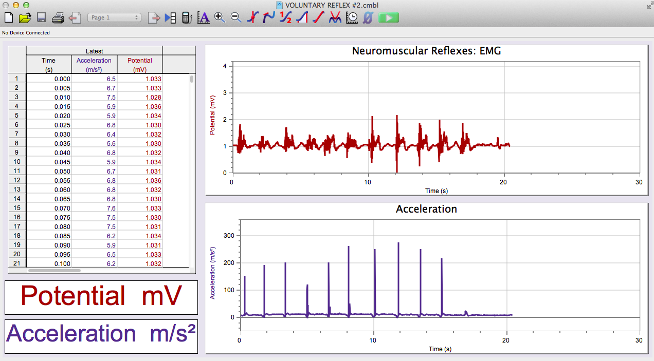 Human Anatomy & Physiology: Reflex Lab