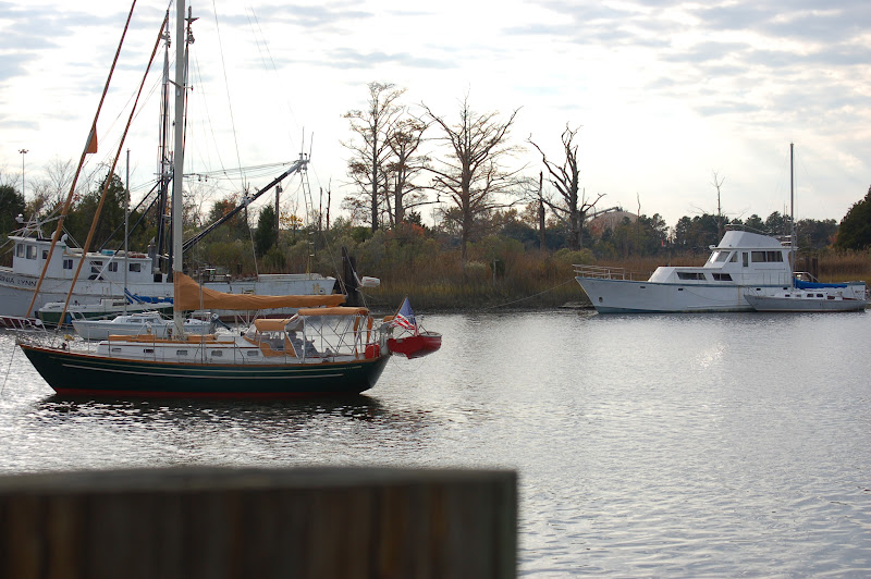 SCTravelersX3: A Visit to Winyah Bay