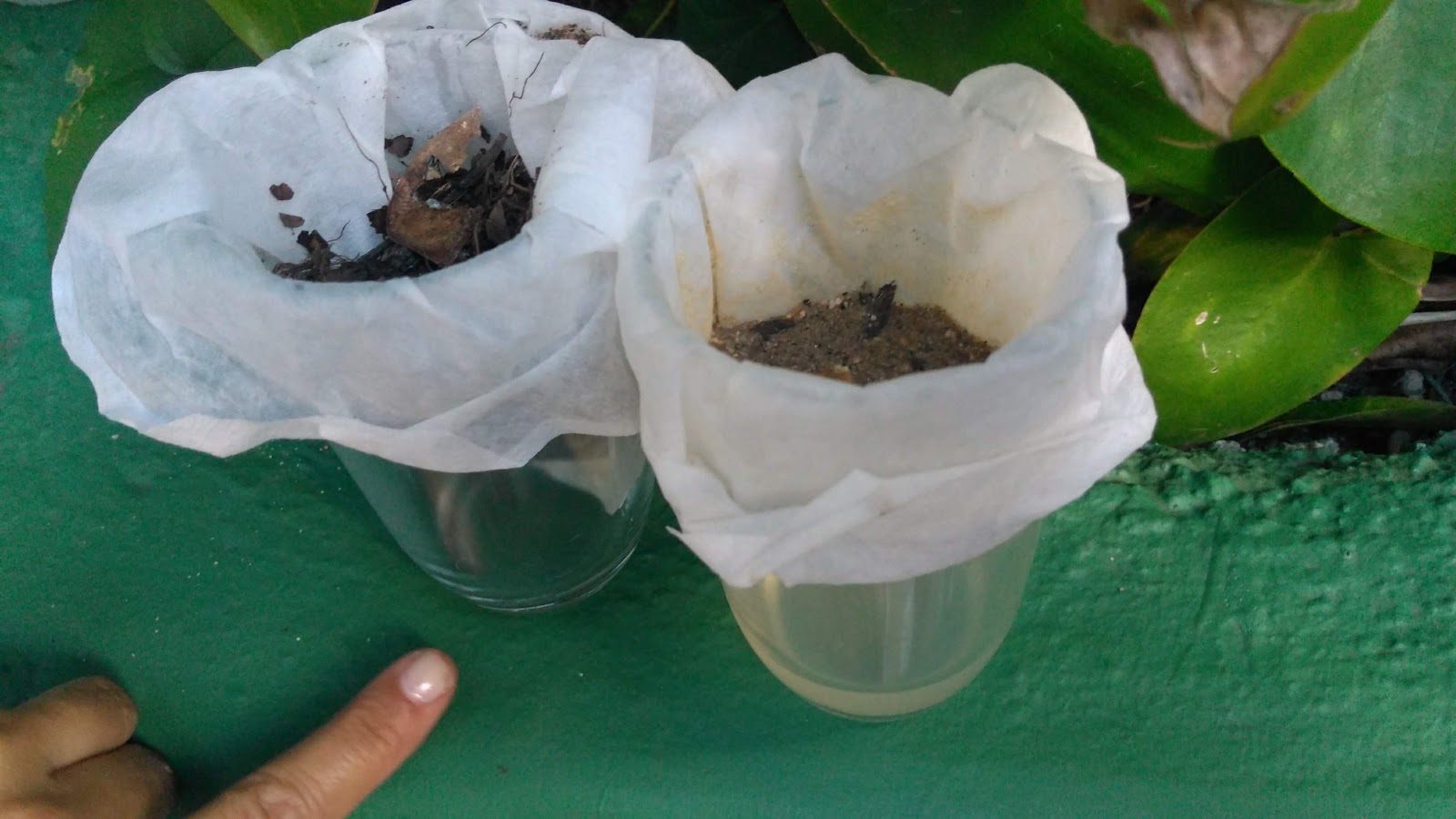 Professora Fernanda: Penetração da água em diferentes tipos de solo ...