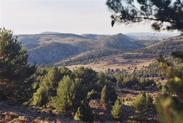 EL CASTELLAR (TERUEL) Web de Amigos de El Castellar: EN OTOÑO, INVIERNO ...