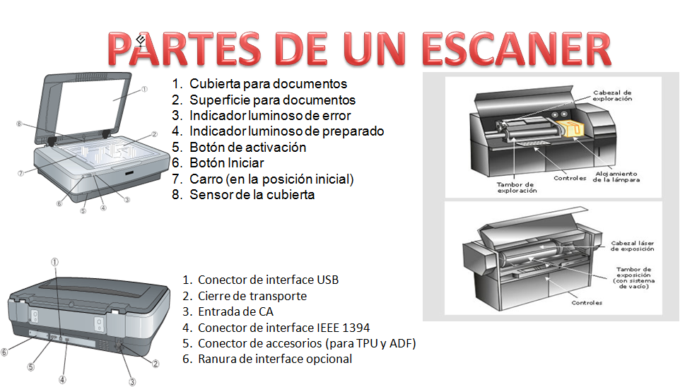 rivas: escaner,camara digital, impresora su funcionamiento