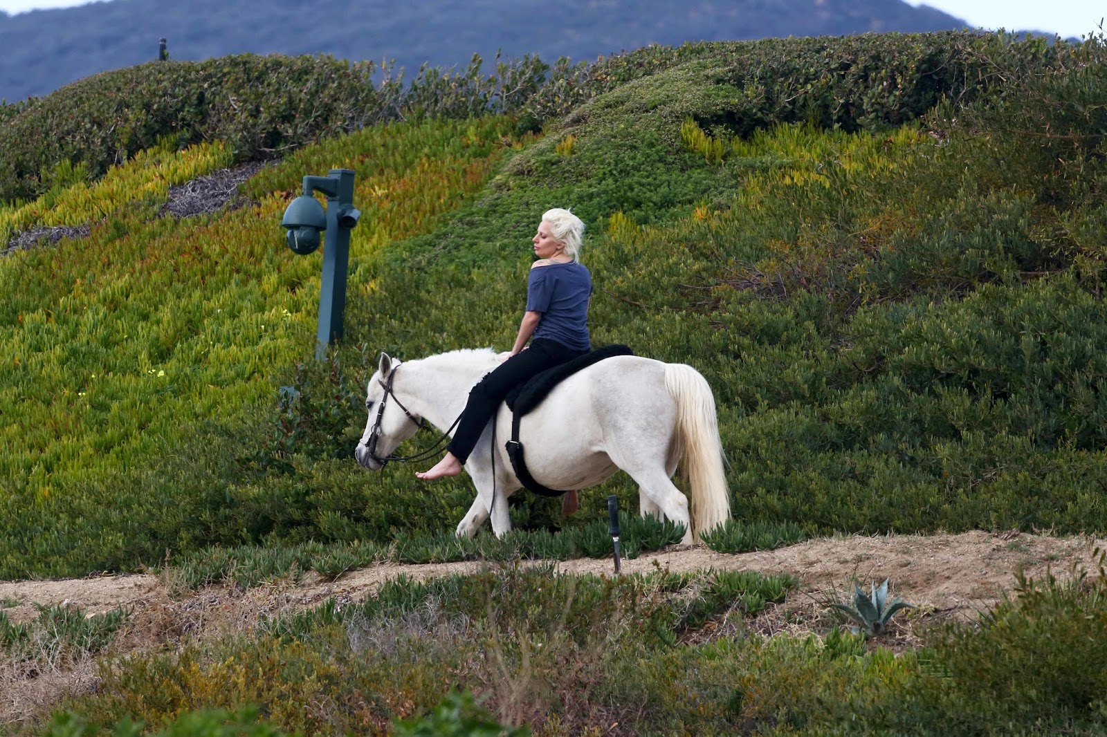 Lady Gaga Riding Her Horse in Malibu, CA - Little Monsters Official