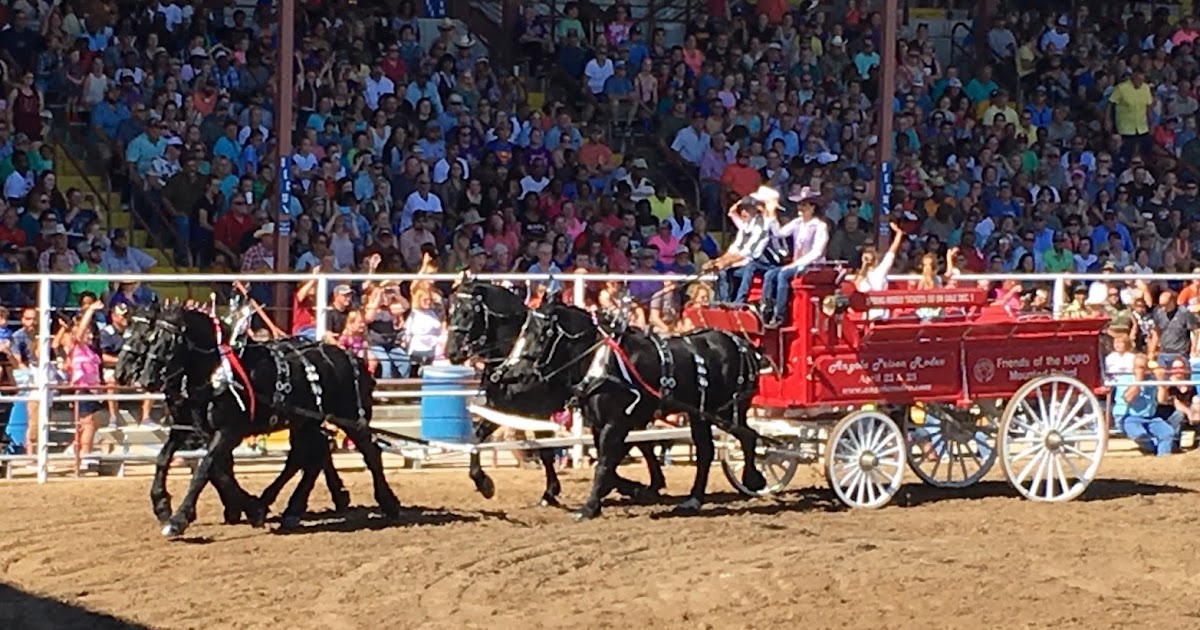 Living Buffchic Style: Angola Prison Rodeo