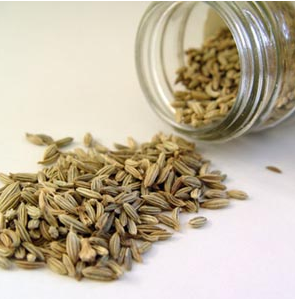 FARMAKOGNOSI : Fructus (buah): FOENICULI FTUCTUS