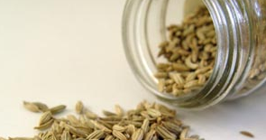 FARMAKOGNOSI : Fructus (buah): FOENICULI FTUCTUS