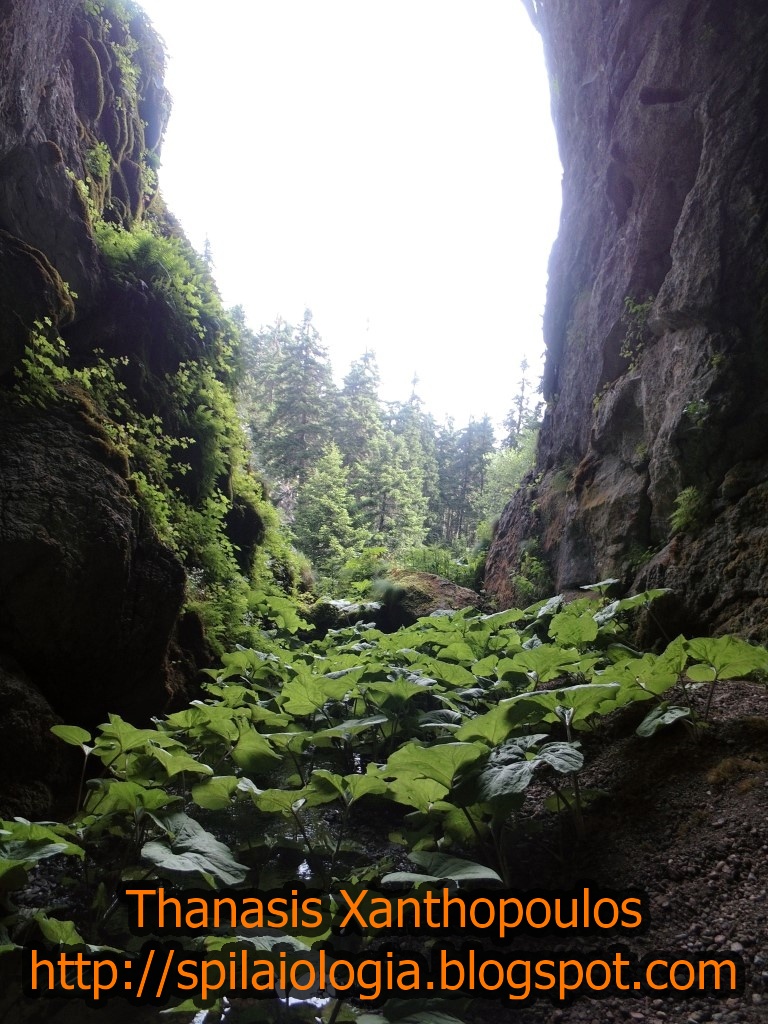 ΣΠΗΛΑΙΟΛΟΓΙΑ - SPELEOLOGY IN GREECE