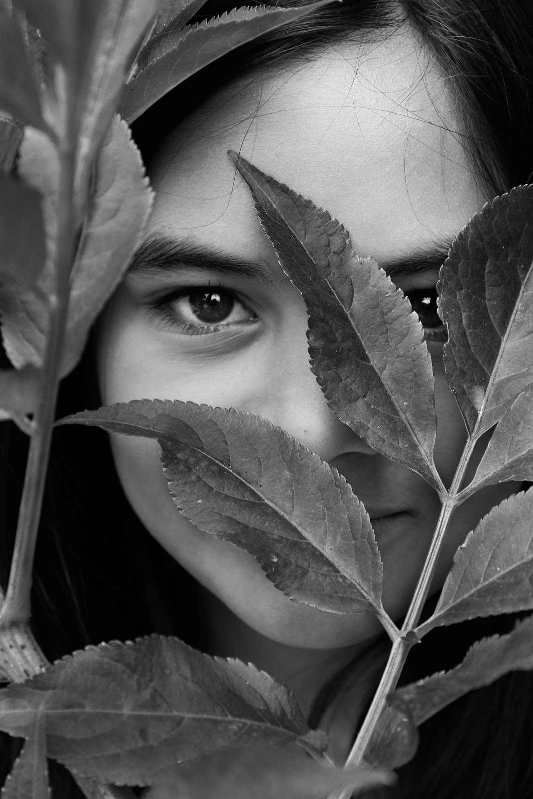 Rosa Fay Photography: A New Mini Model