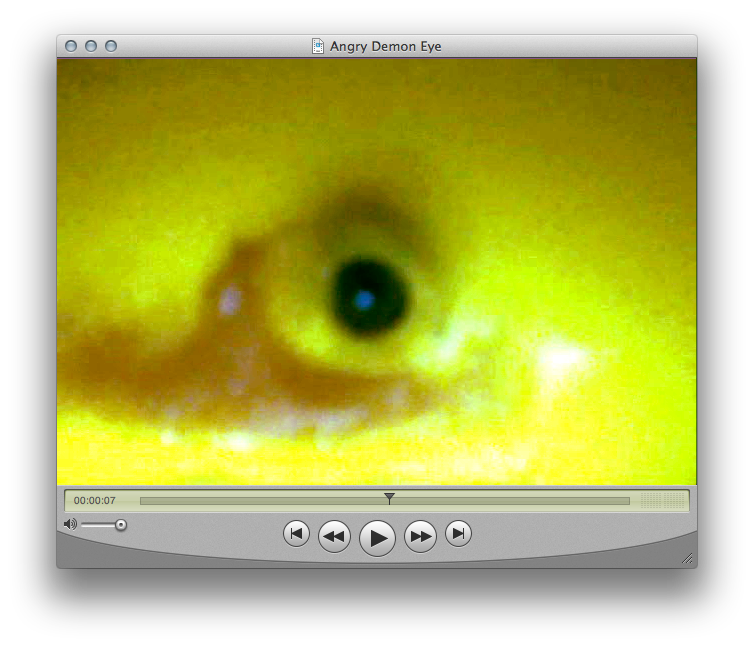 The Life of a Demoniac: #446 - SCIENCE | Seeing the eye of an invisible ...