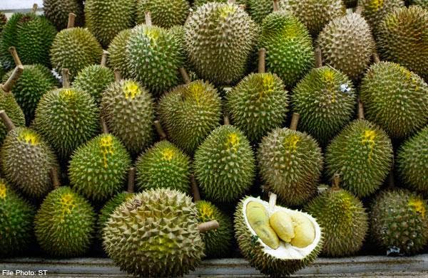 It's More Fun in Davao City: The Best Fruits in Davao City