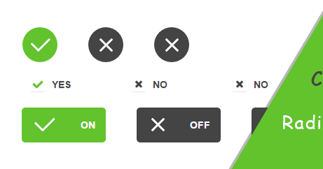 CHECKBOX BUTTON STYLES