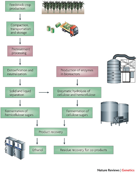 save environment........!!!!!: flow chart to save nature