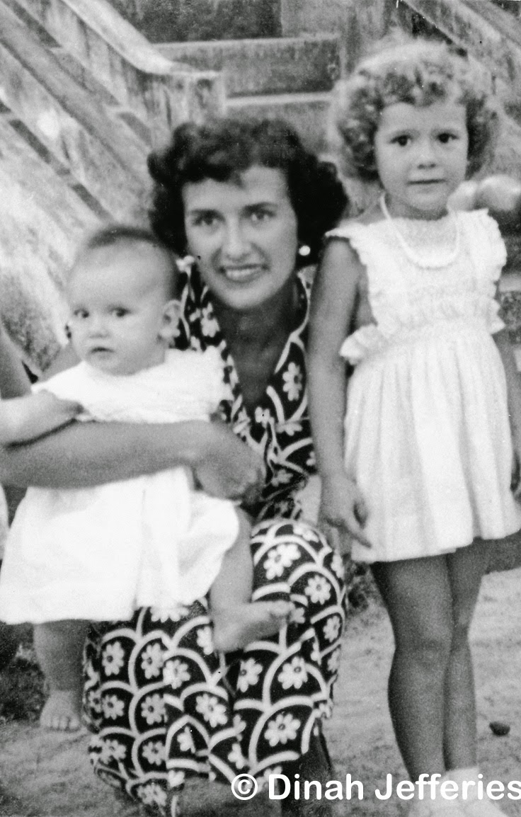 Author Interview: Dinah Jefferies: The Separation: The Tea Planters ...