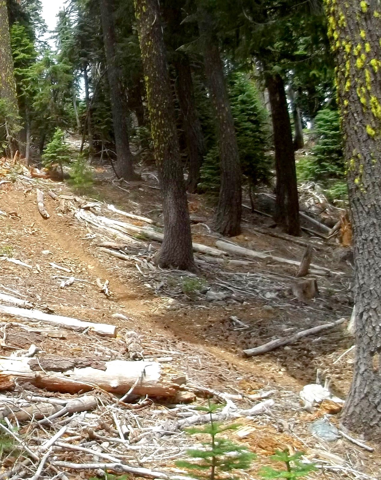 Official Quiet Warrior Racing Blog: POST TMR SINGLE TRACK MOTORCYCLE ...