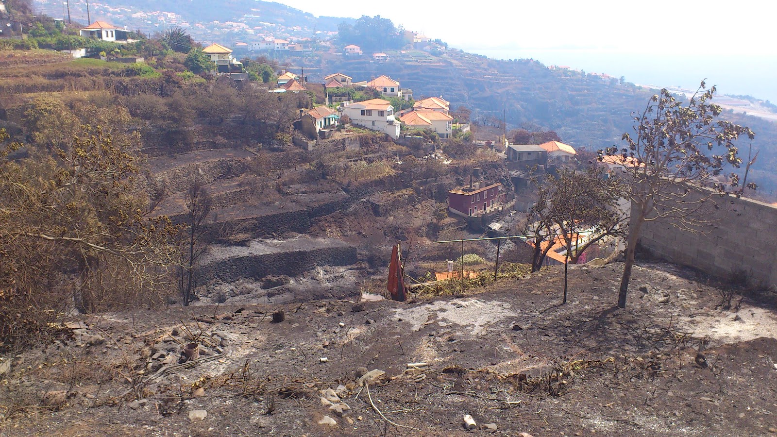 o Cantinho do Mundo: Gaula, em imagens!