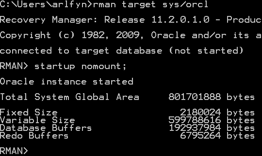 Information System: Cara melakukan Hot Backup pada Oracle