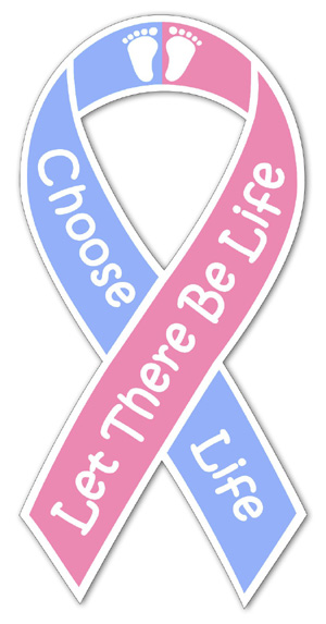 Tiffany Lin's AP English Blog: 17. Controversial Symbol: Pro Life Ribbon