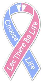 Tiffany Lin's AP English Blog: 17. Controversial Symbol: Pro Life Ribbon