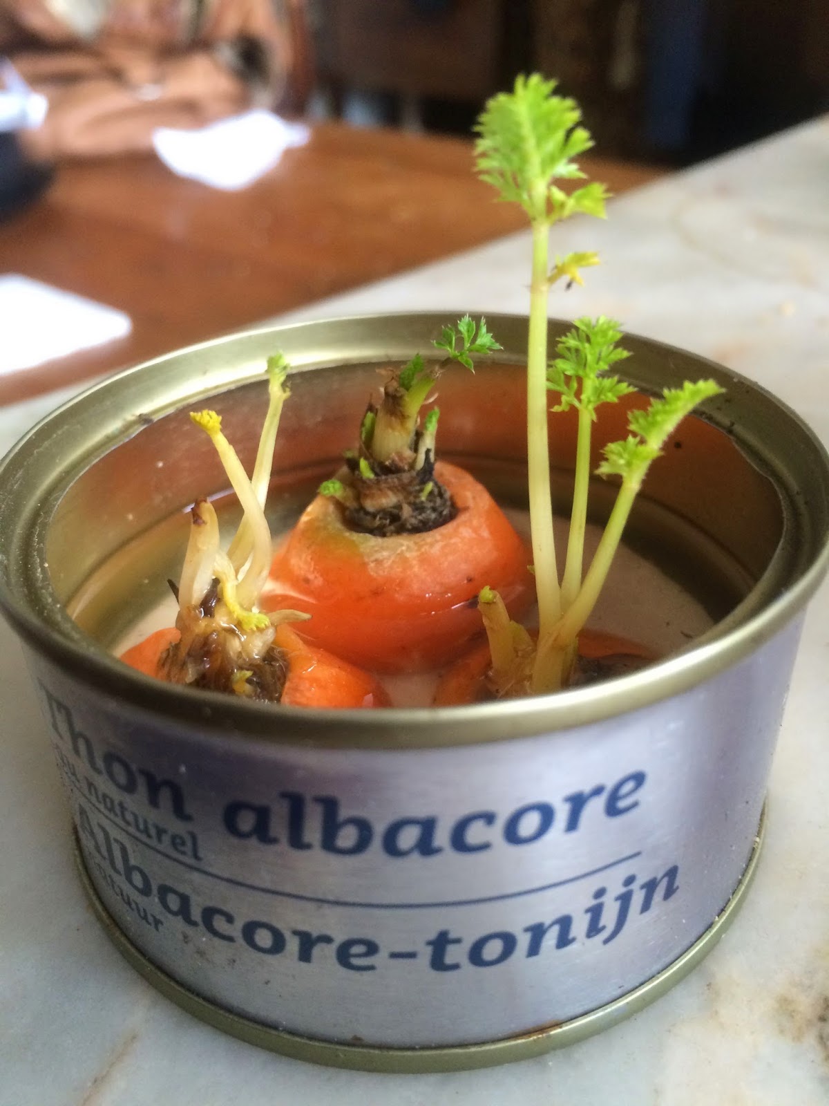 LE POTAGER DE BALCON DE MADAME LAITUE À PARIS : CAROTTE : FAIRE POUSSER ...