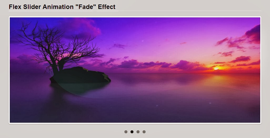 ASP.NET CLOUD: Flex Slider With Animation ASP.NET CLOUD: Flex Slider With Animation
