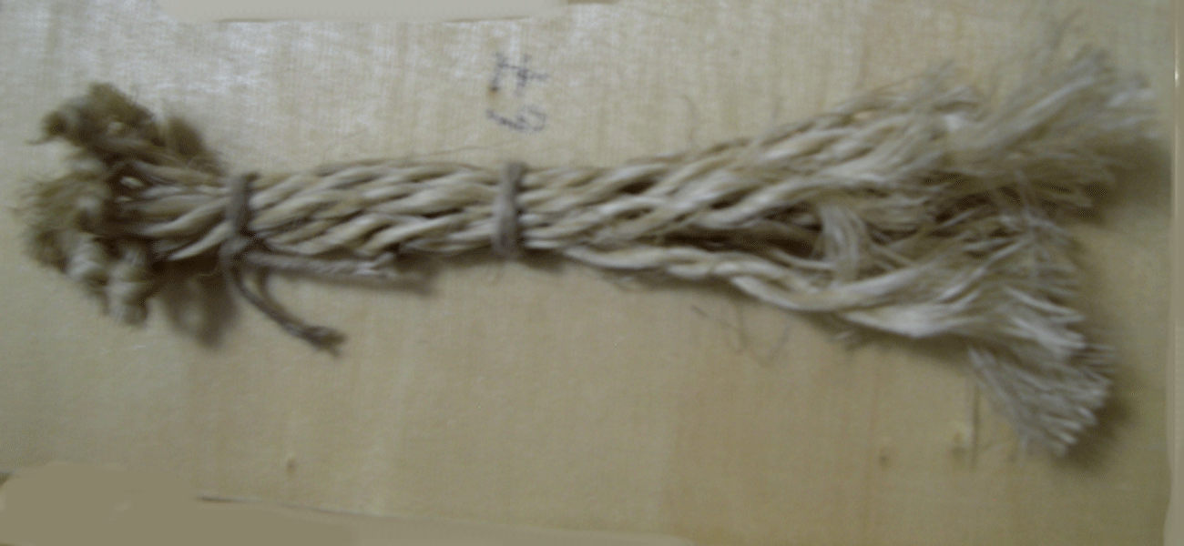 Un tema, mil preguntas.: Herramientas y aperos de labranza