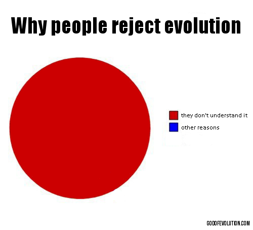 Iroutinely hear evolutionists saying that people who believe increation ...