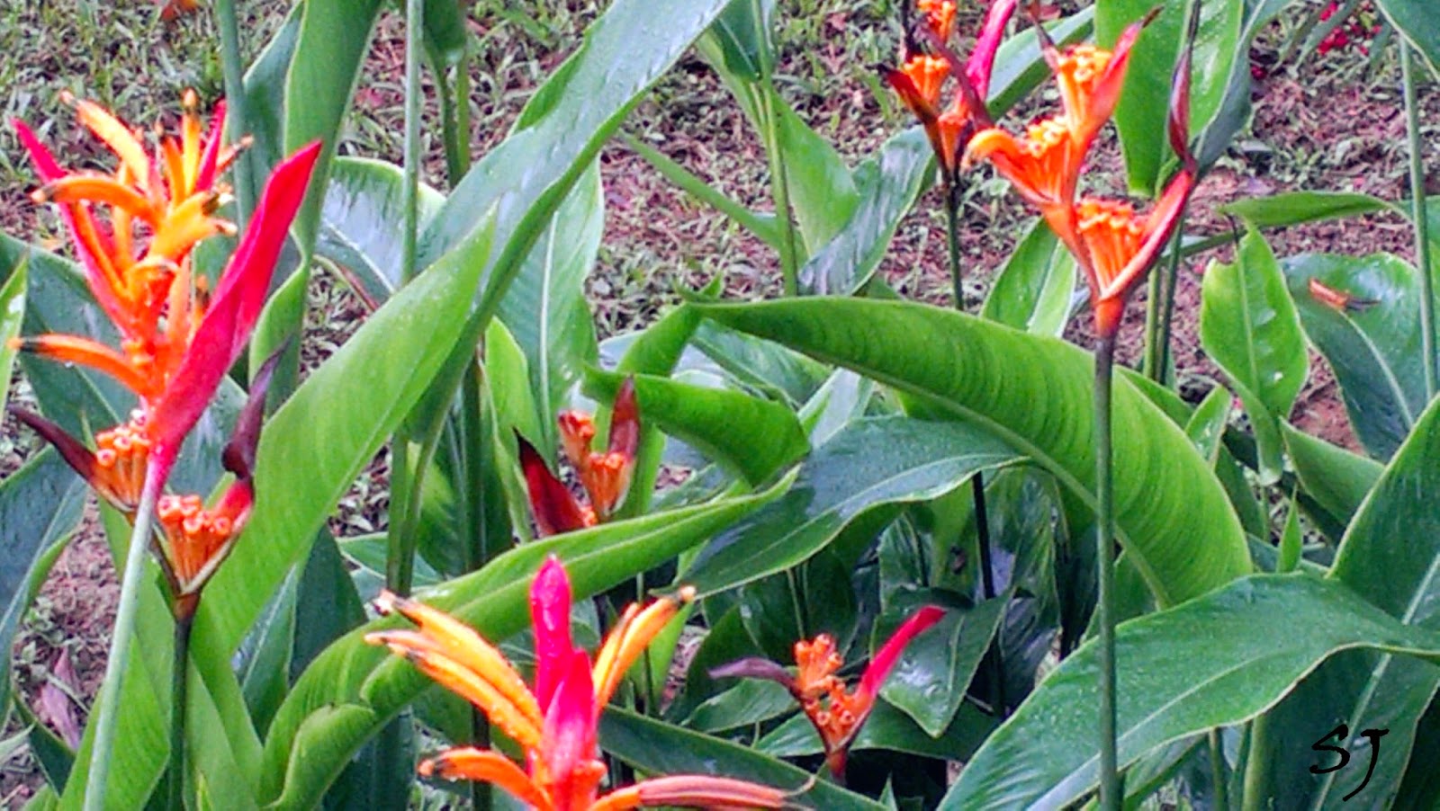 My Palace, My symphony of life and the rhythm in My heart: With Mother ...