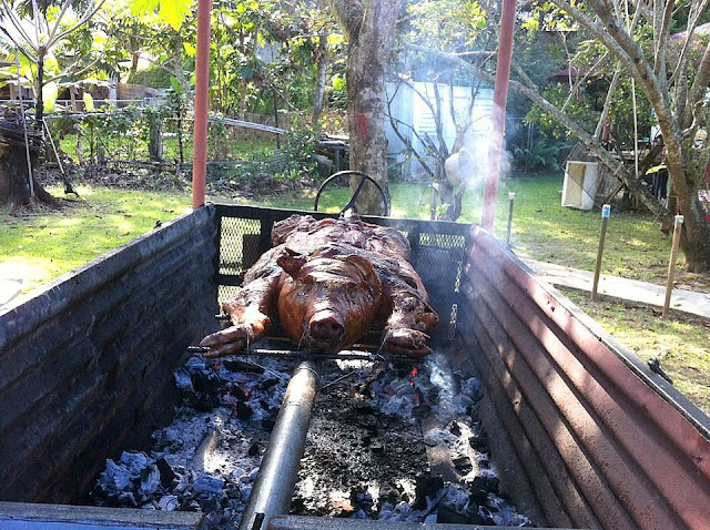 El Bohío de María : El LECHÓN EN SU VARA