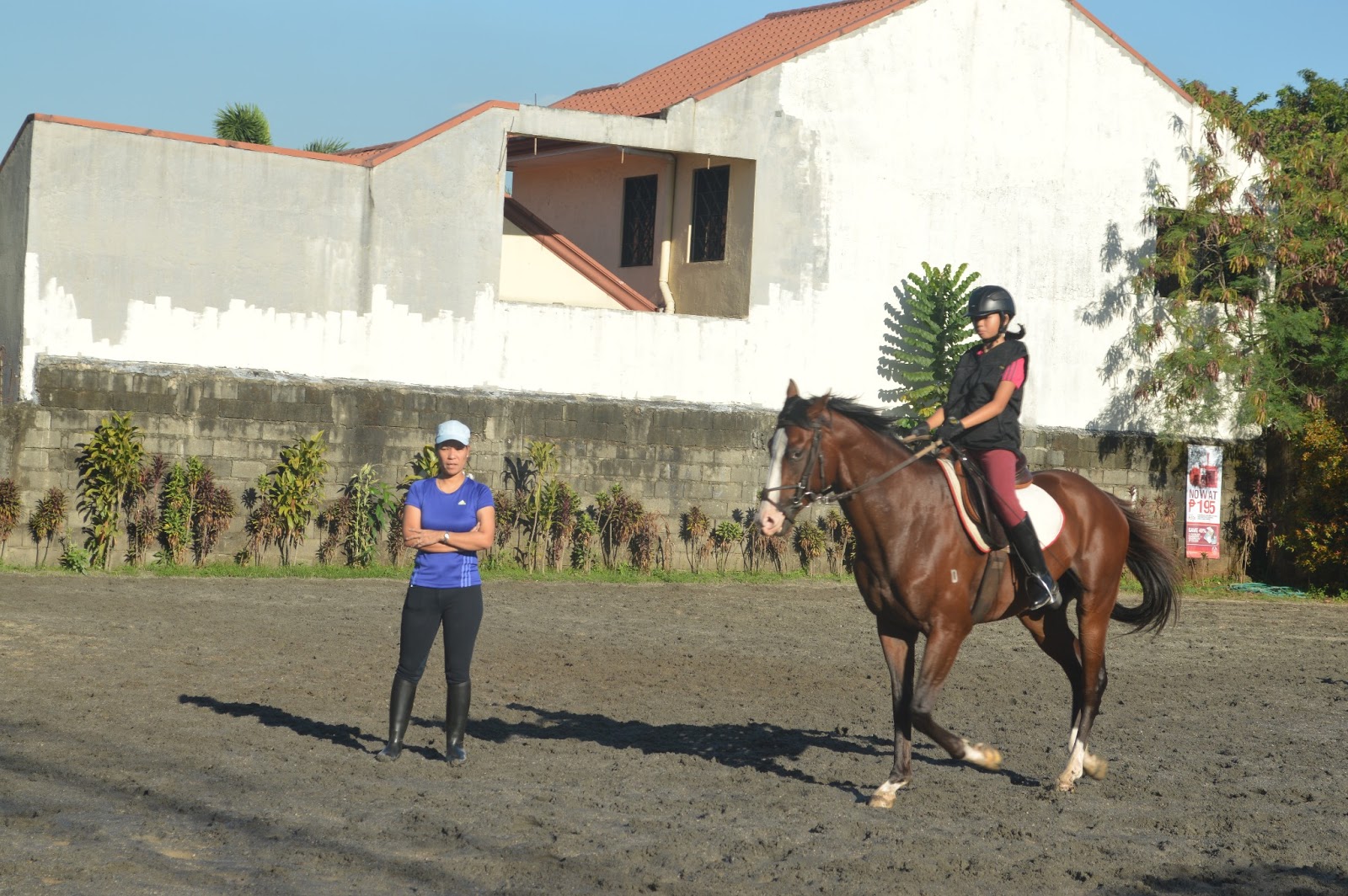 Horse Riding Philippines: A Glimpse of Yana's Horesback Riding Lesson ...
