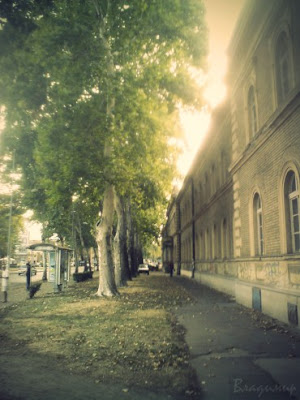 novi sad fotografije: Novi Sad, fotografije, okolina futoške ulice